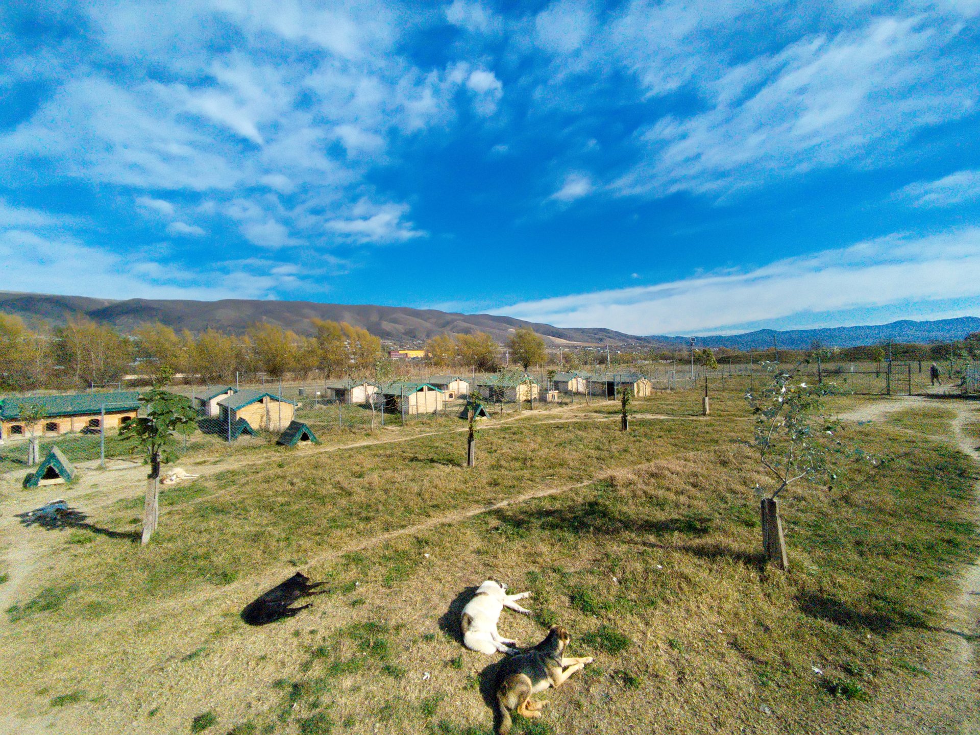 Richi Animal Village - GSPSA