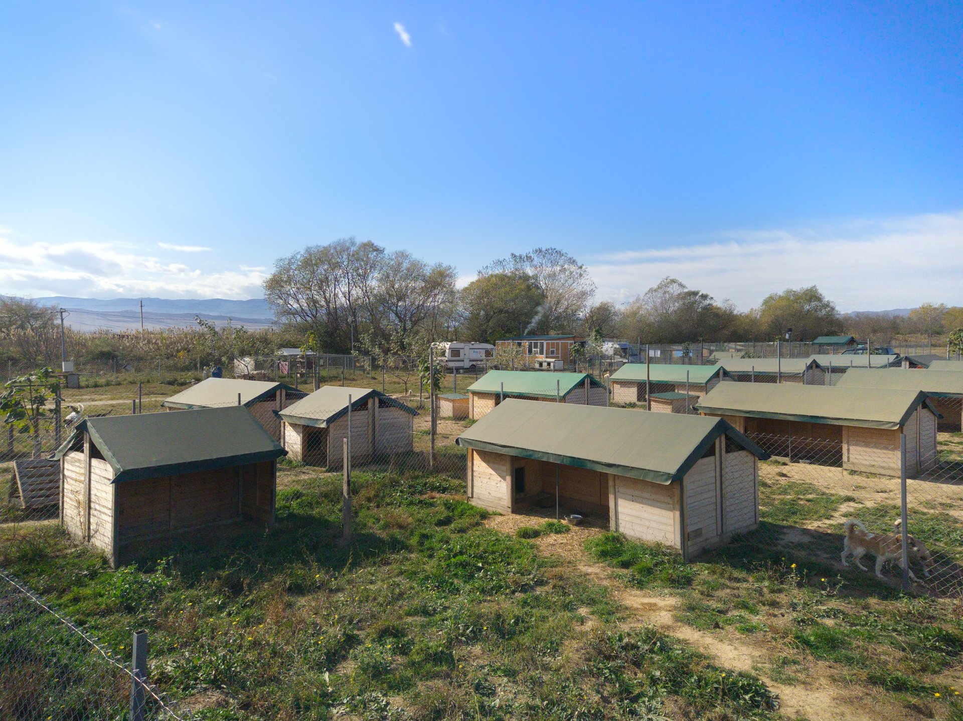 Richi Animal Village - GSPSA