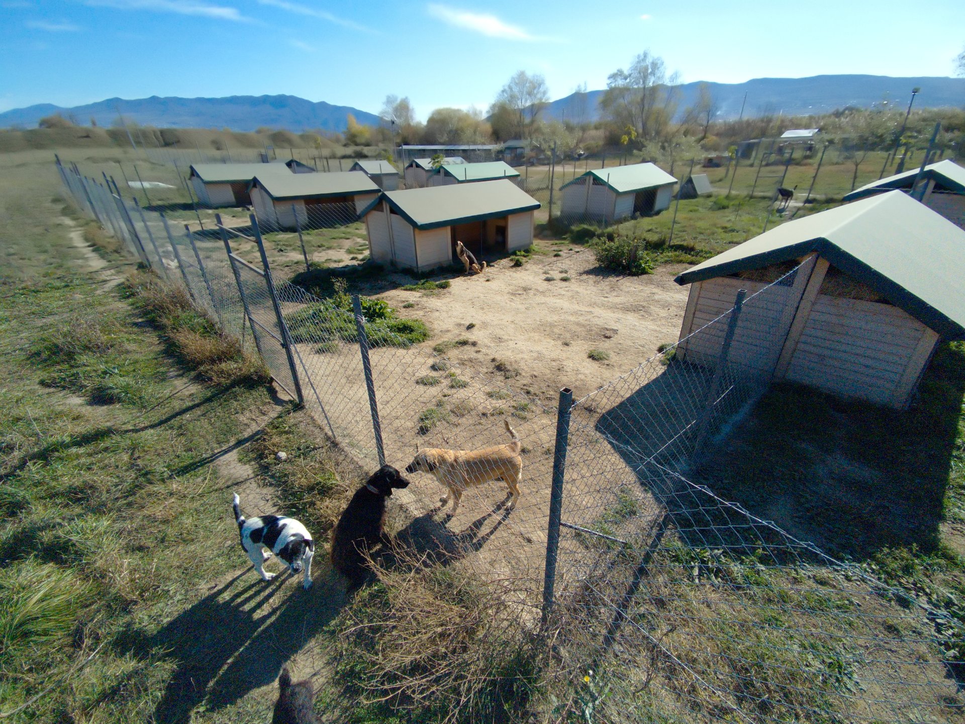 Richi Animal Village - GSPSA