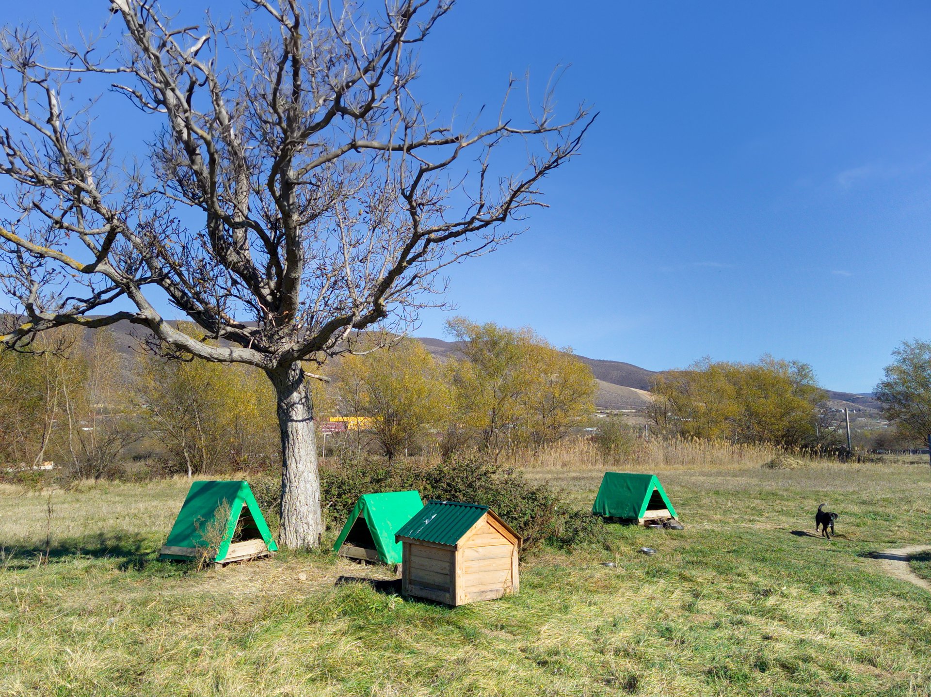 Richi Animal Village - GSPSA