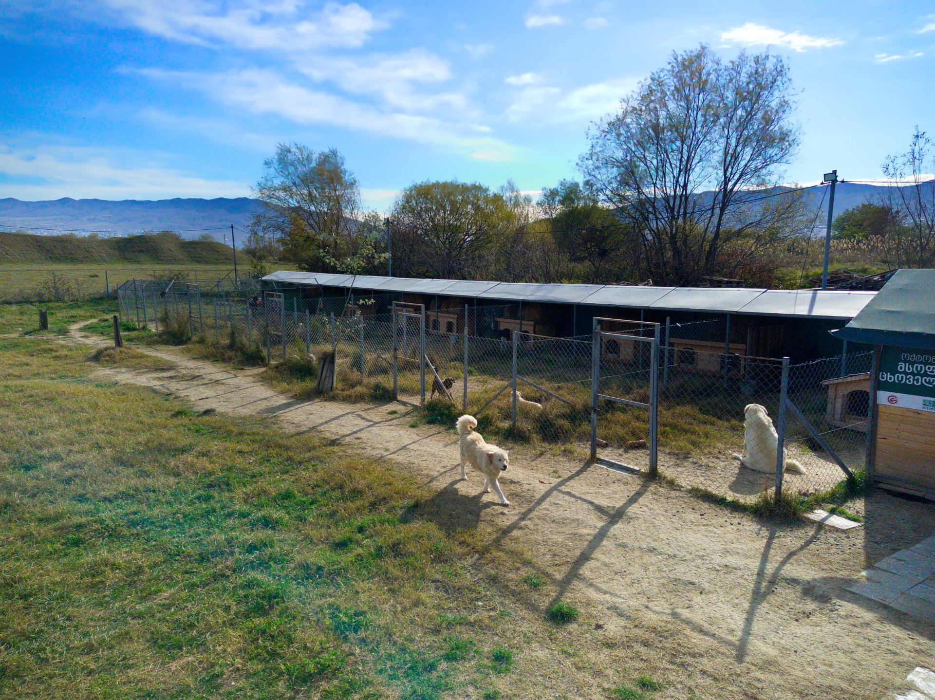 Richi Animal Village - GSPSA