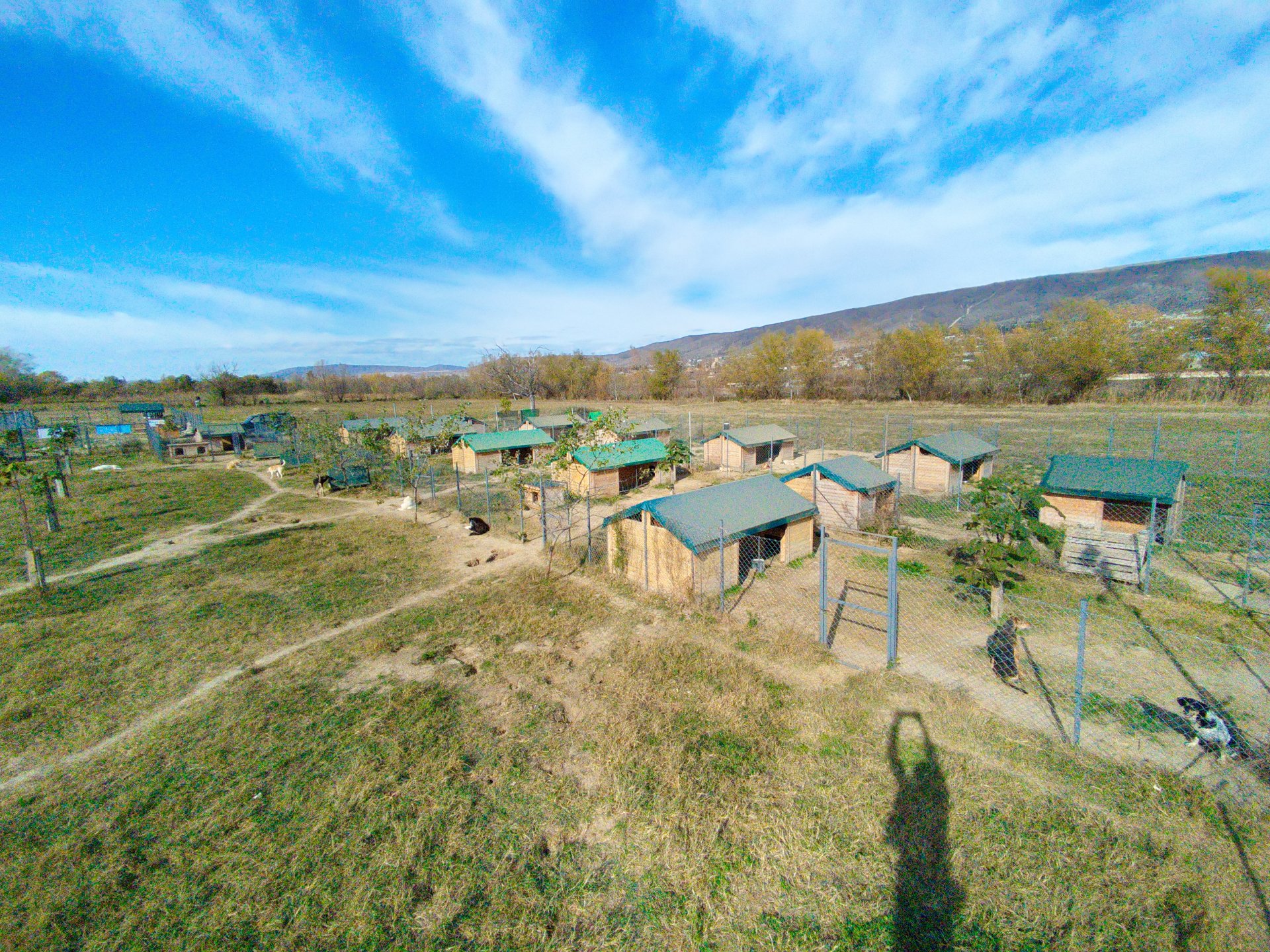 Richi Animal Village - GSPSA