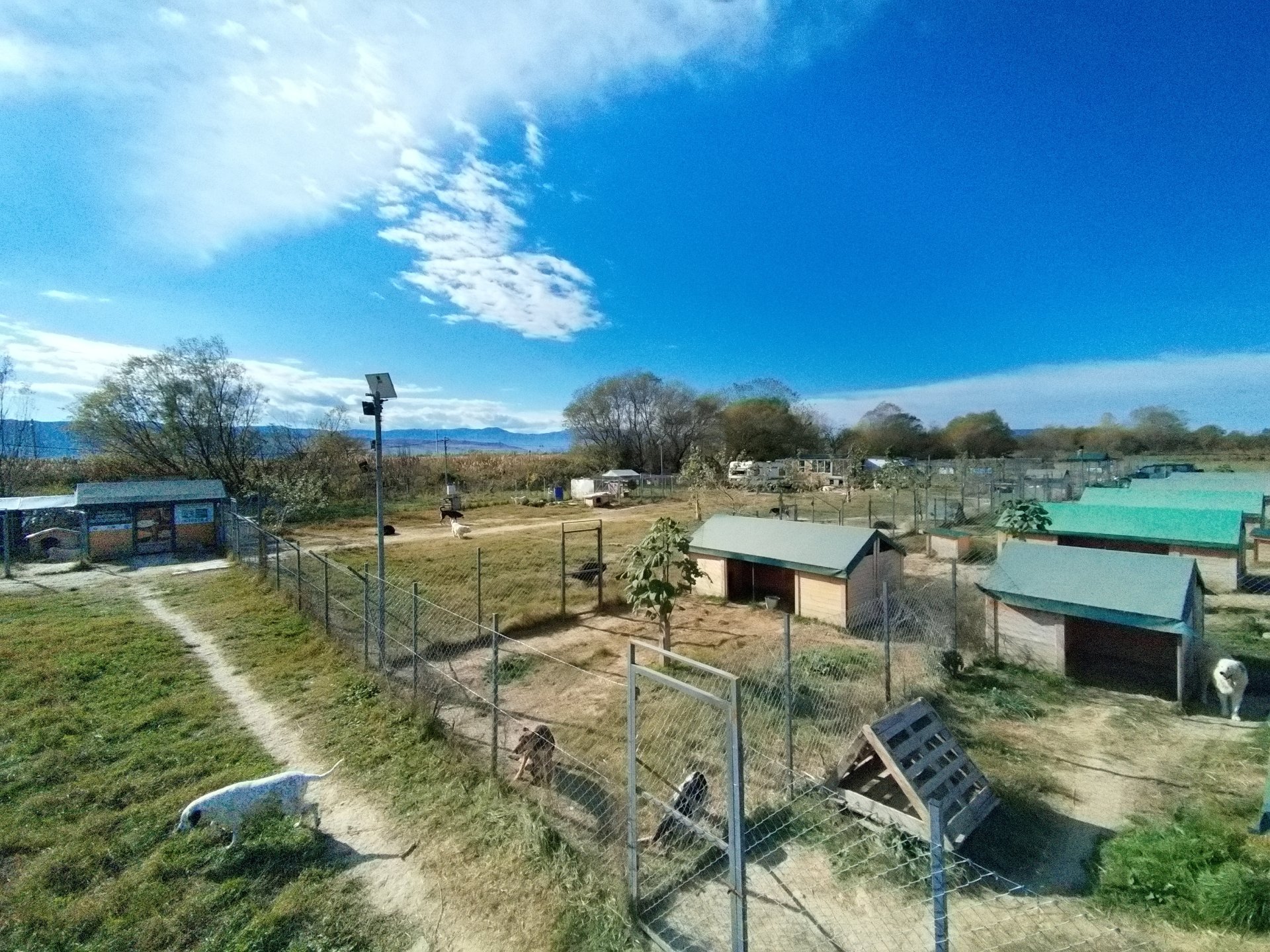 Richi Animal Village - GSPSA