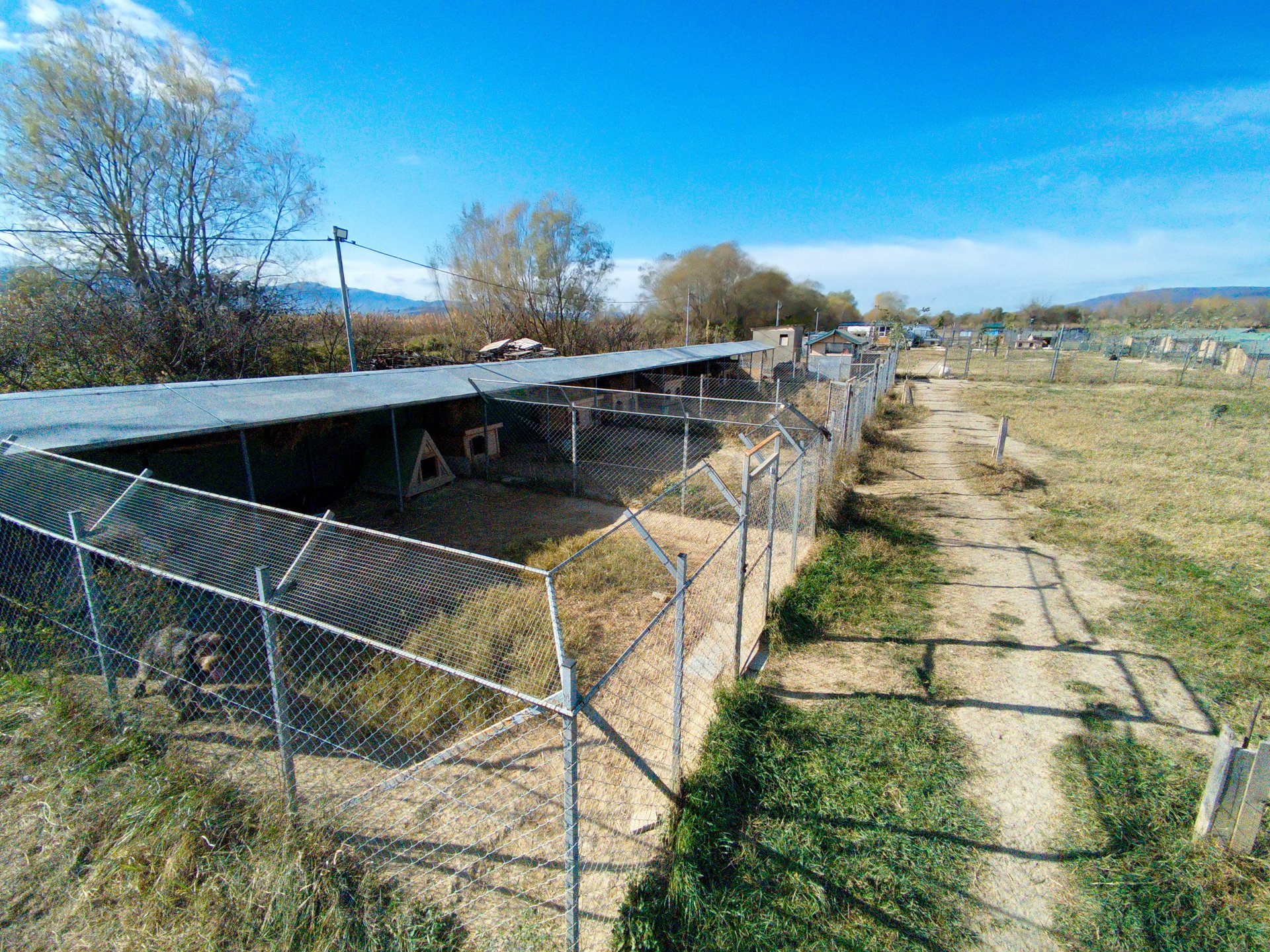 Richi Animal Village - GSPSA